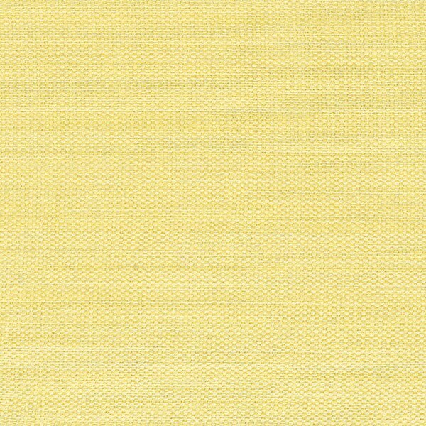 Casual Classics Napkin - Butter | Park Designs